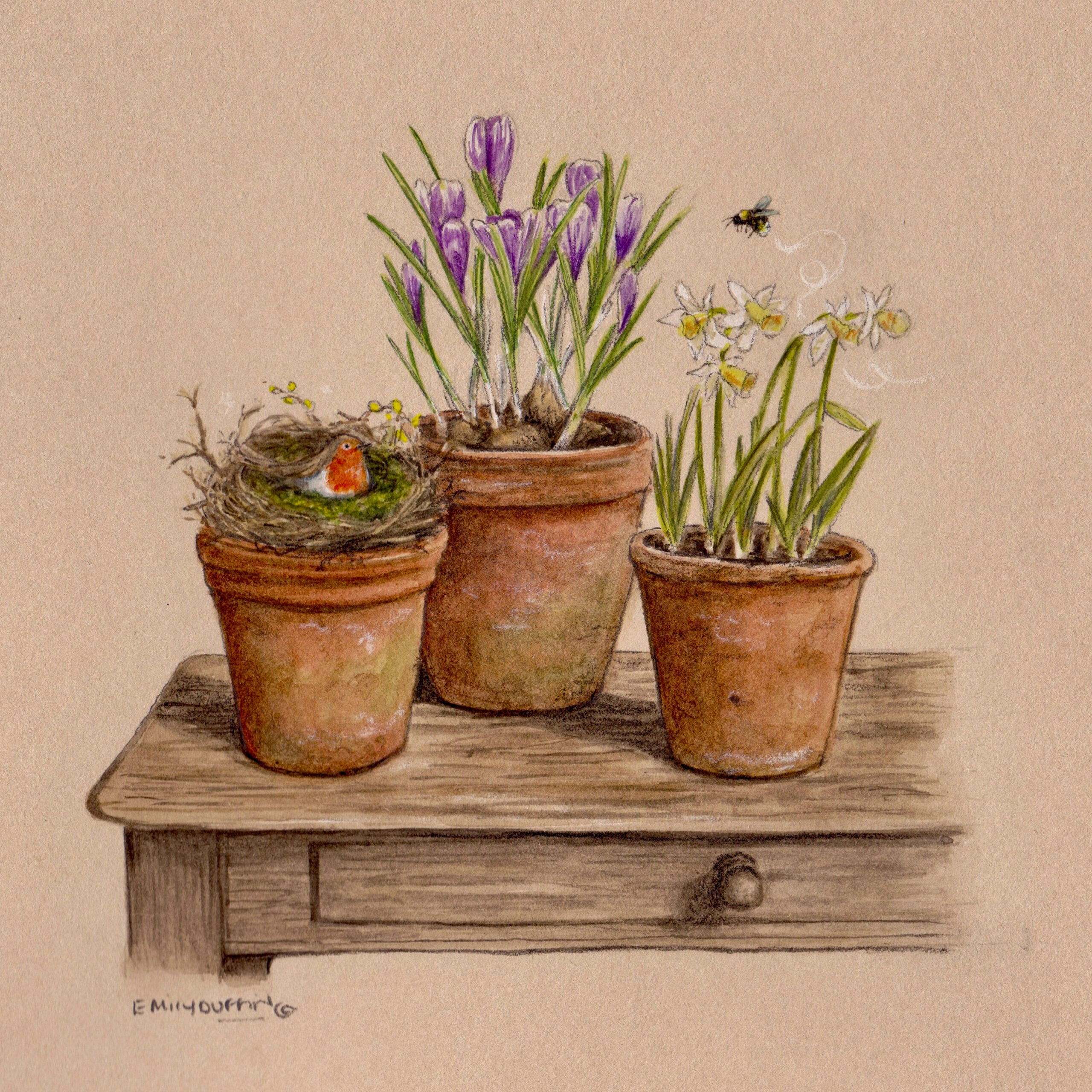 Robins Nest – Emily Duffin Country Illustrations