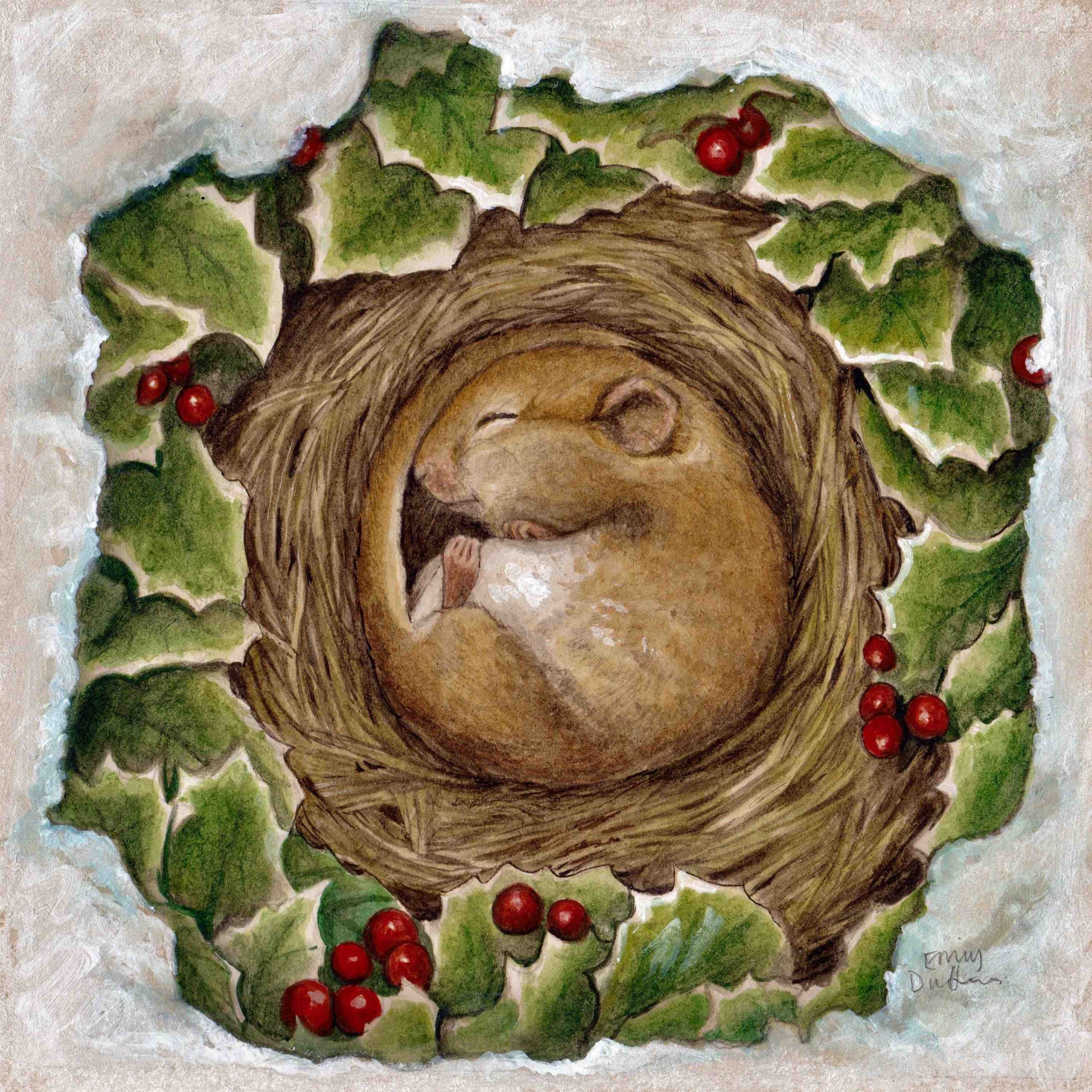 Dormouse Dreams At Christmas|Dormouse Dreams At Christmas framed 2 ...