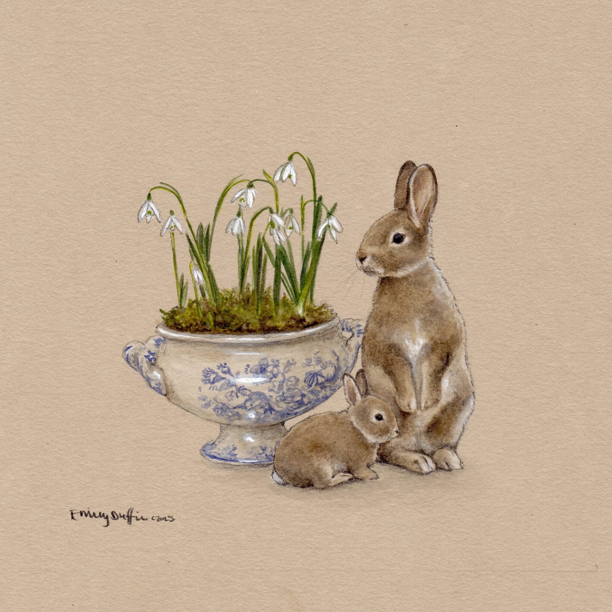 Bunnies First Spring – Emily Duffin Country Illustrations